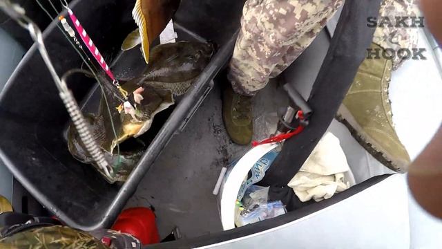 Камбала июнь 2019г.