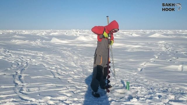 Крабалка в Охотском море, залив Мордвинова 2020г