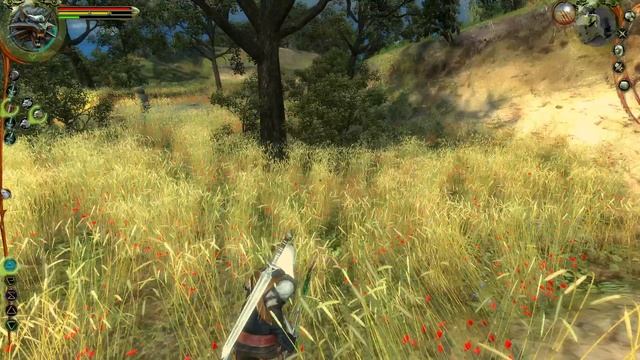 The Witcher- Enhanced Edition. Часть 44. Зеркало для Алины, беседы с Отшельником и Беренгаром