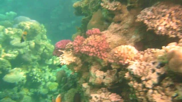 Акватория отеля Конкорд. Часть 5.