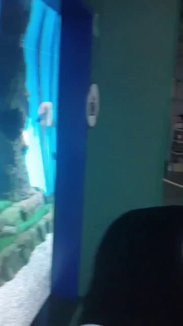 москвариум