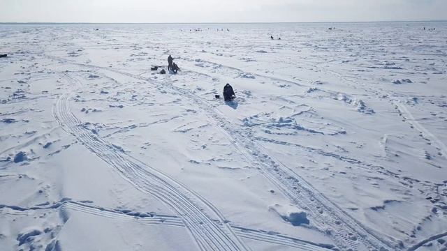 Ловля ЗУБАРЯ. Открытие сезона 2021