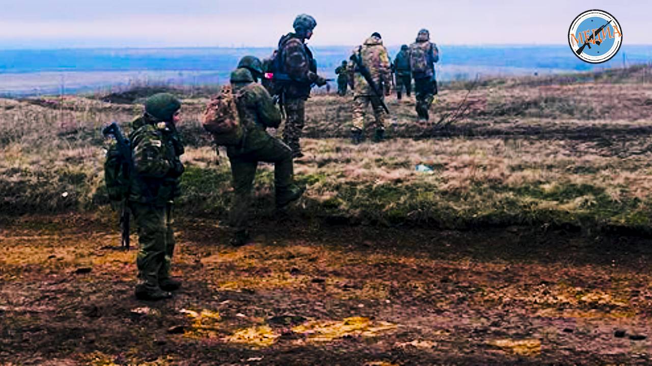 Своих не бросаем - Волонтёры из Красногорска