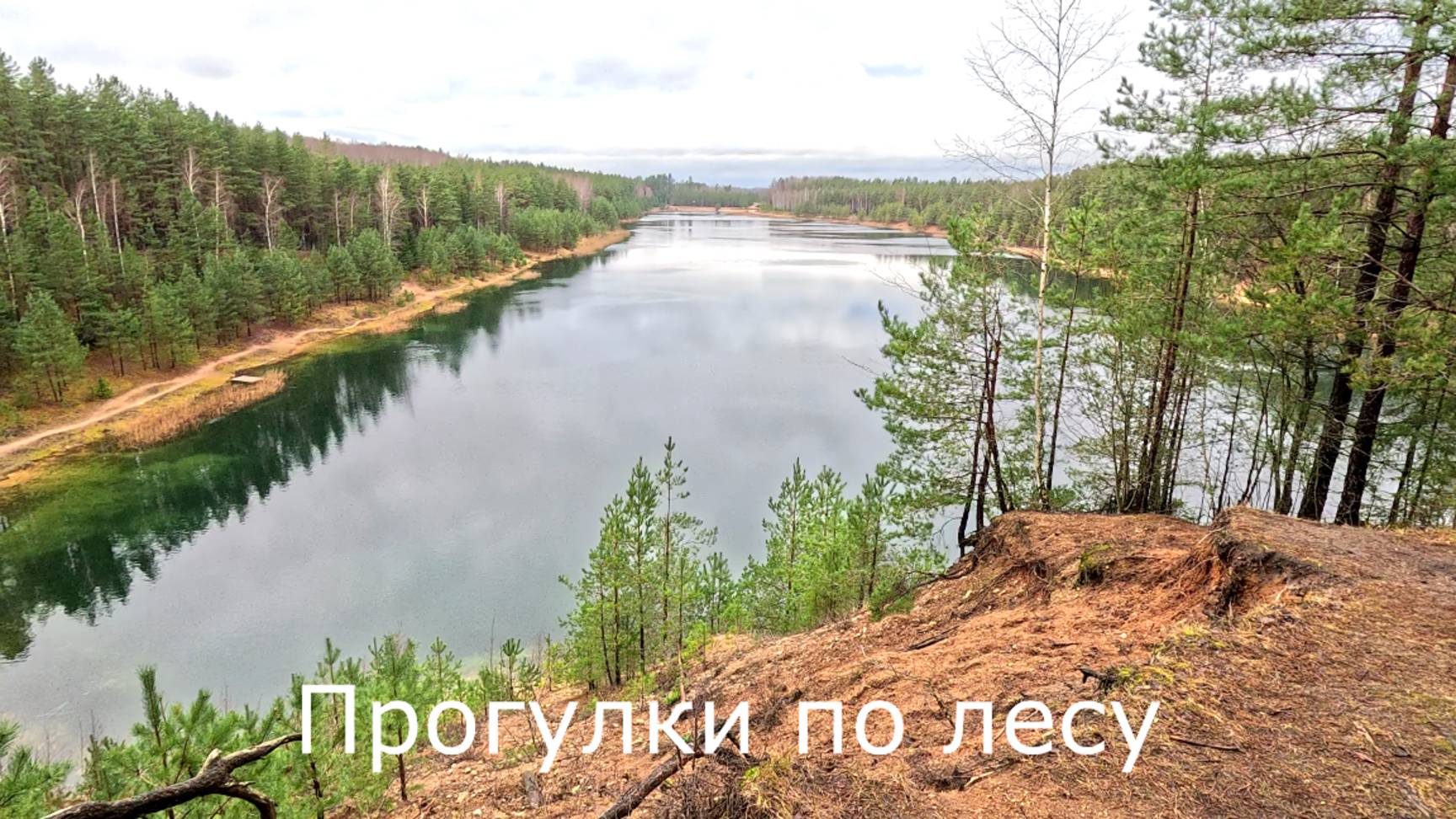 Прогулки по лесу. Через площадку обзора на нижнюю дорогу.