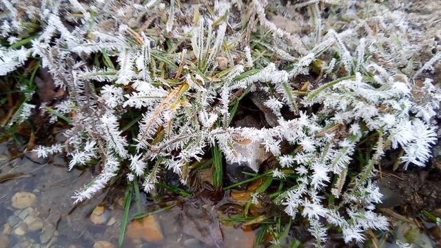 Саратов. Пруд и родничок в верховьях Королькова сада.