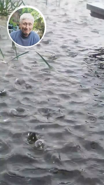 Эх, рыбалка сорвалась.. #дождь