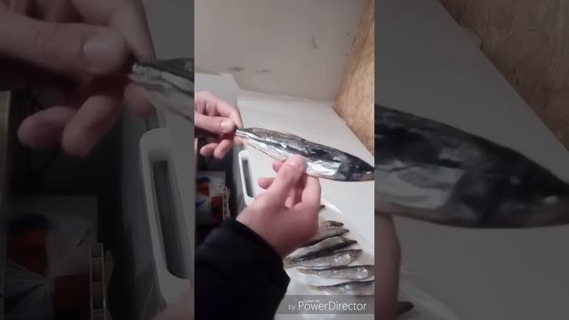 Зубарёвый бутерброд