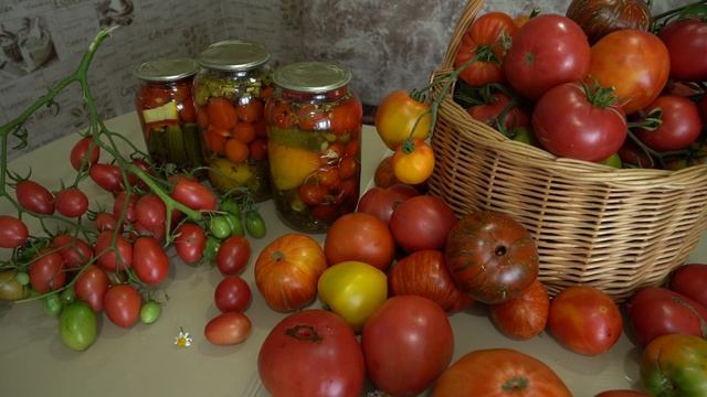 ХОРОШИЙ УРОЖАЙ ТОМАТОВ