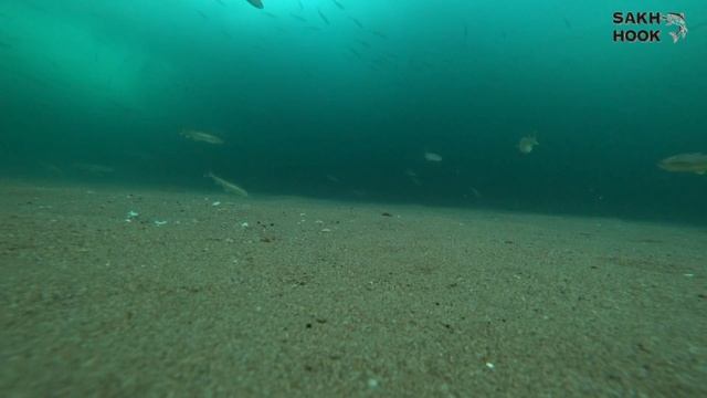 Ловля НАВАГИ. Сахалин 2020 г.