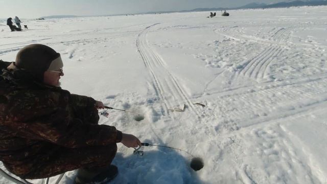 Первый ЗУБАРЬ 2023г.