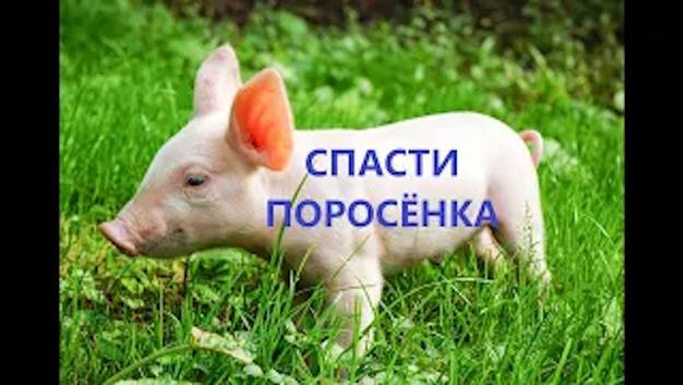 ОП 2.2 "Потерявшийся" Вернуть поросёнка по просьбе Креста в Забытом лесу.