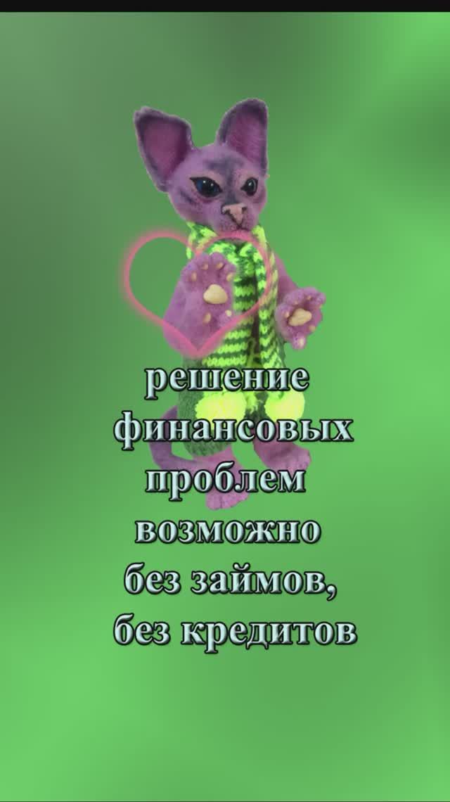 Как кот Девон-рекс решает финансовые проблемы без кредитов!
