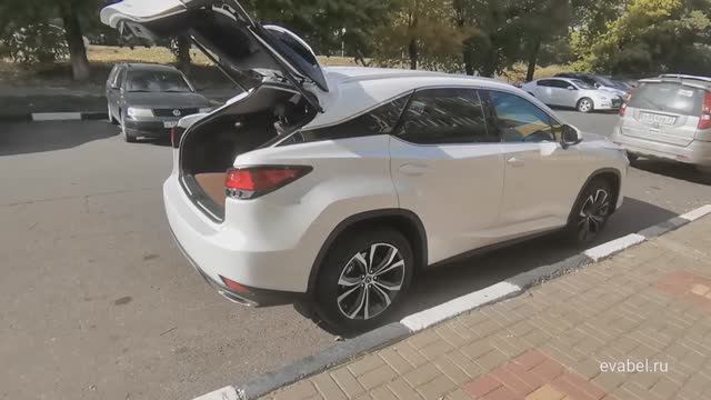 Lexus RX 4-e поколение eva коврики в багажник нестандартный вариант evabel.ru 8800-222-48-45
