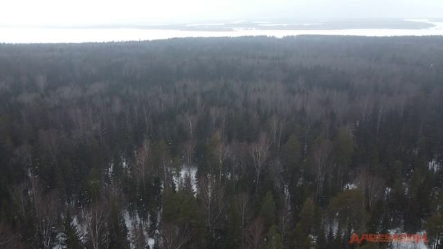 Тайные снежные дорожки