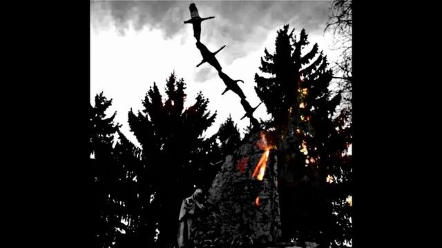 Журавли - Екатерина Шелехова