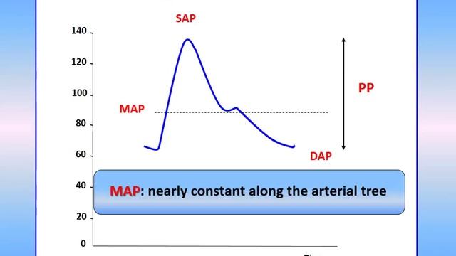 How to use arterial pressure monitoring to assess haemodynamics. Teboul Jean-Lou