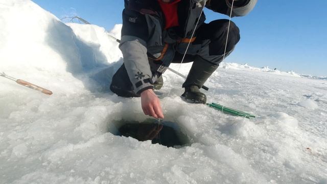 Ловля краба в Охотском море. Сахалин 2022 год.
