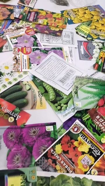 рассада головного мозга