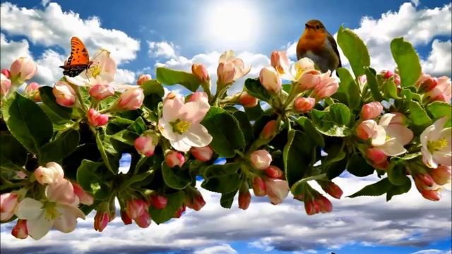 3671-из Гарыныч ВЕТЕР-Собственность Господа!-Ой, и радость, ой, и святость...