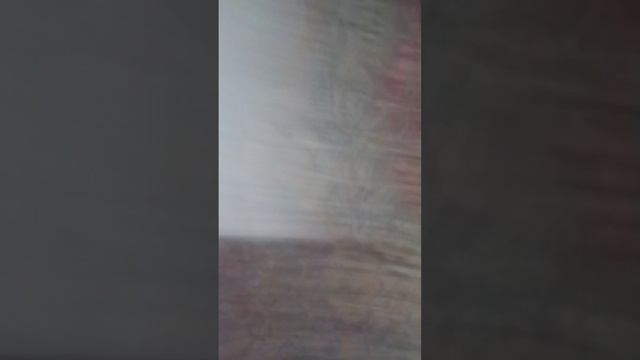 мылыи́ котик 5 серия 2 сезона