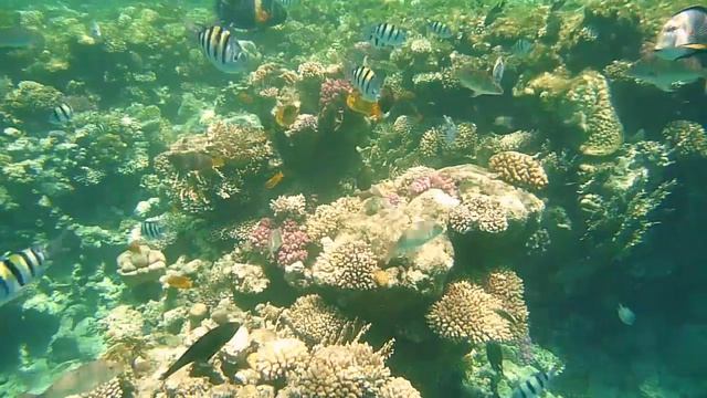 Акватория отеля Конкорд. Часть 4..