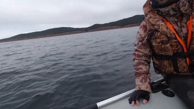 Закрытие навигации спасением Кита.