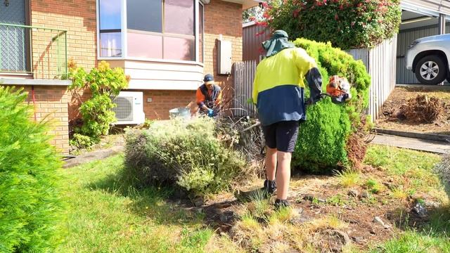 qc_ Once Beautiful Garden gets New Lease on Life! Смотрим как другие работают