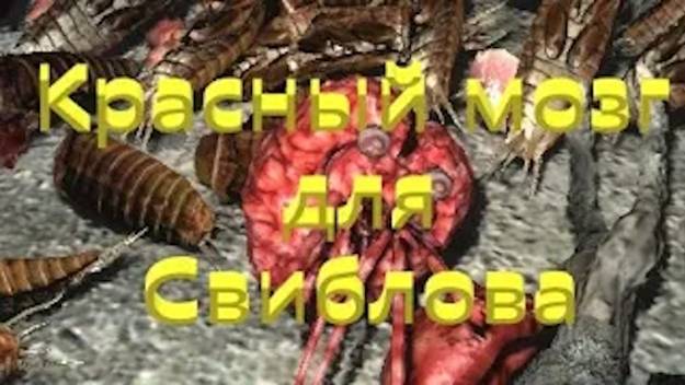 ОП 2.2 Необычный контролёр. Красный мозг для  Свиблова. #оп21 #оп22 #сталкер