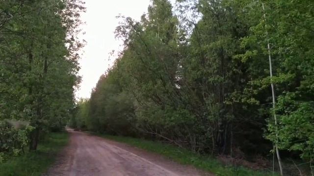 Вечерняя жизнь майского хутора.