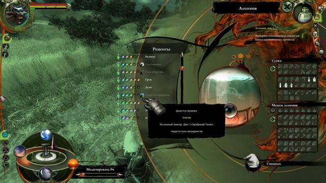 The Witcher- Enhanced Edition. Часть 47. Решение вопроса Алины и Селины с помощью Владычицы озера