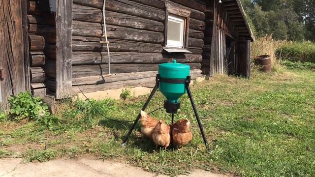 Автоматическая  кормушка Птицеферма российского производства