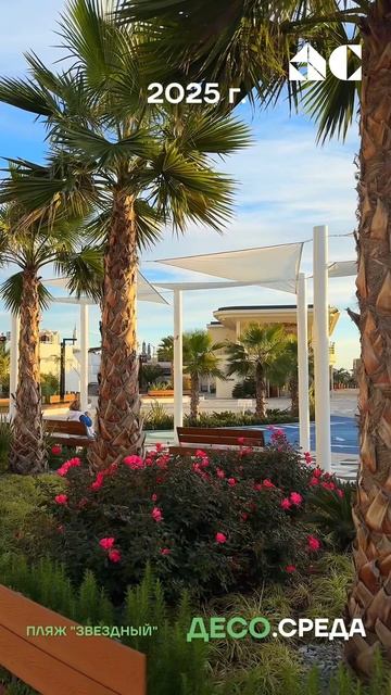 Сегодня в центре внимания – пляж «Звездный» в Сочи