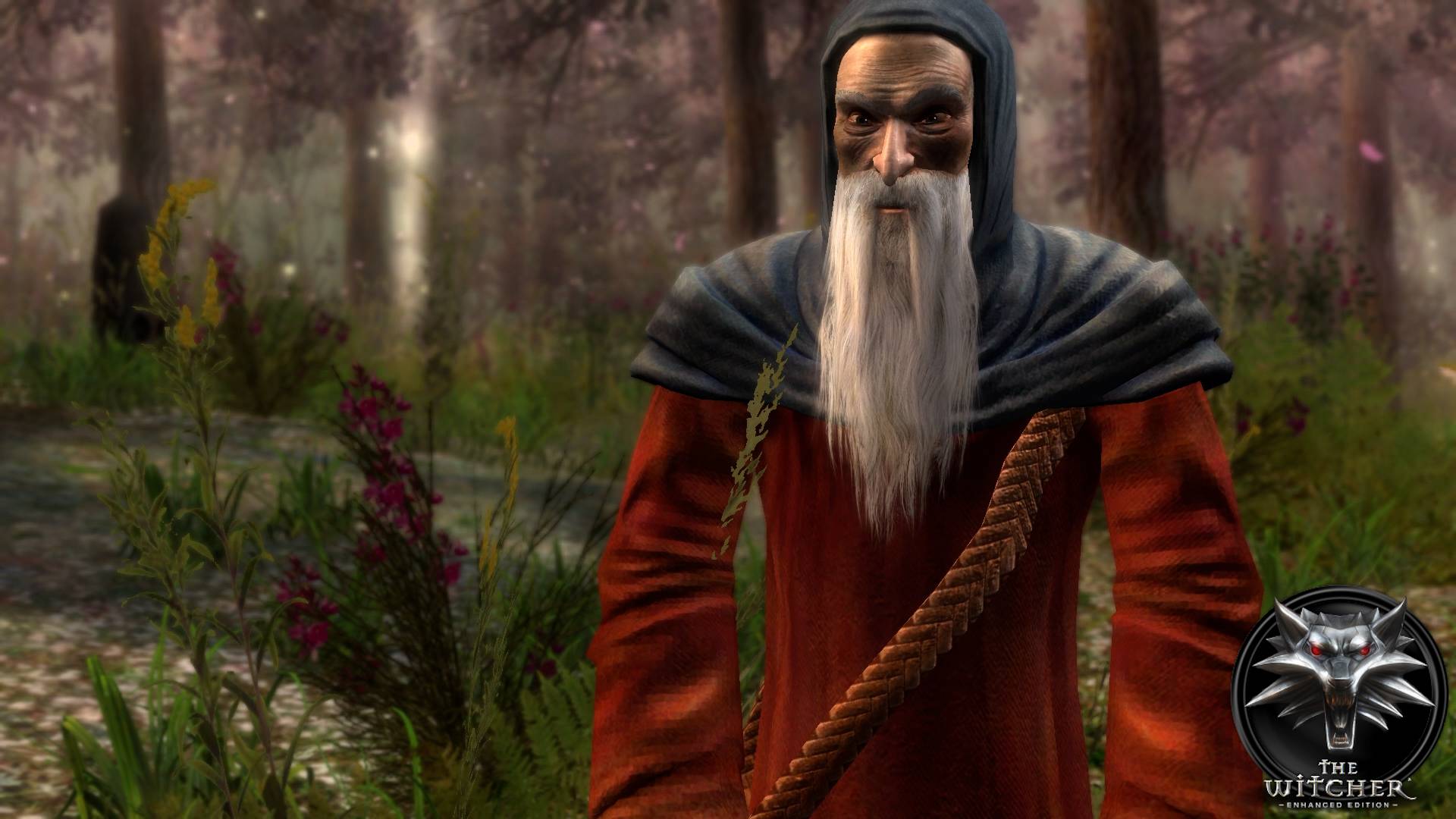 #19 Возвращение на болота (молчаливое прохождение) - The Witcher