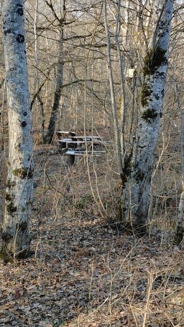 По пути в гуамку