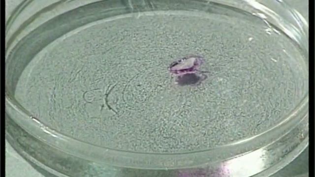 Взаимодействие глицерина с натрием