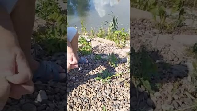 Продолжение рыбалки, возле Мечети.