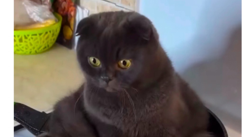 геометрия дэш