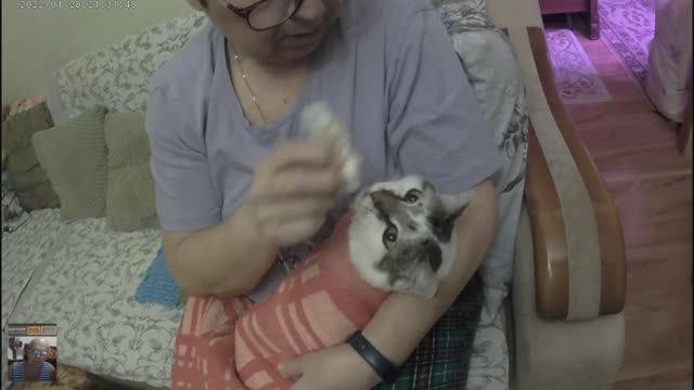 Лечим Кота Семку