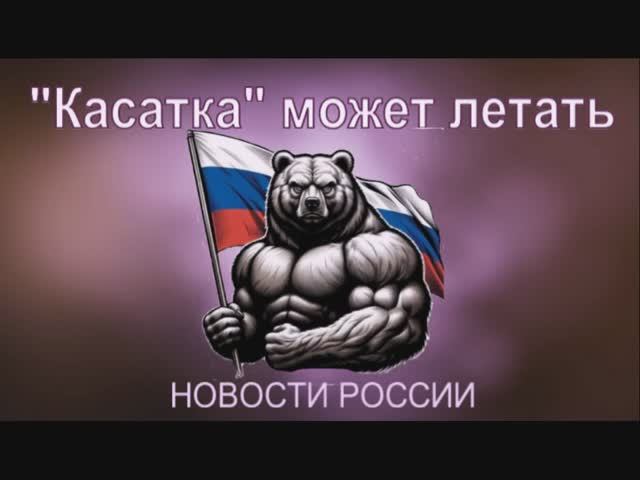 Касатка может летать