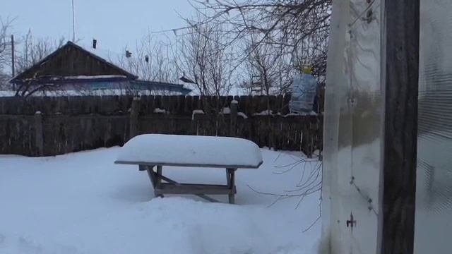 Наступил февраль. Тепло.