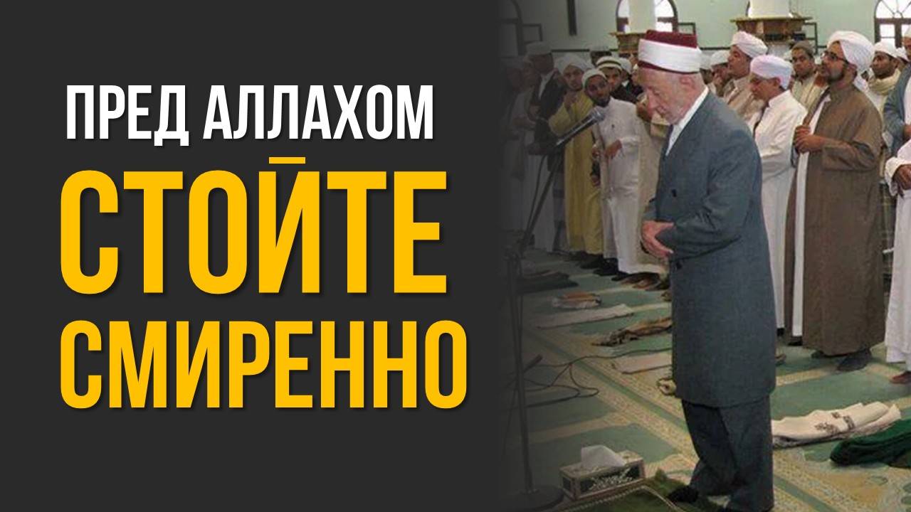 ОЖИВИ СВОЙ НАМАЗ | Тафсир Корана | Шейх Рамадан аль-Буты