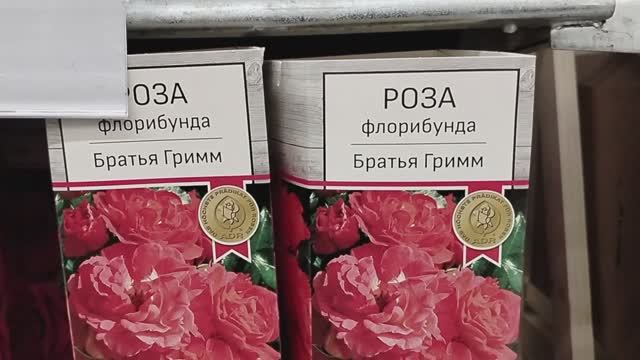 Розы в Леруа Мерлен. Февраль. 2025год. Новый завоз в Лемана ПРО