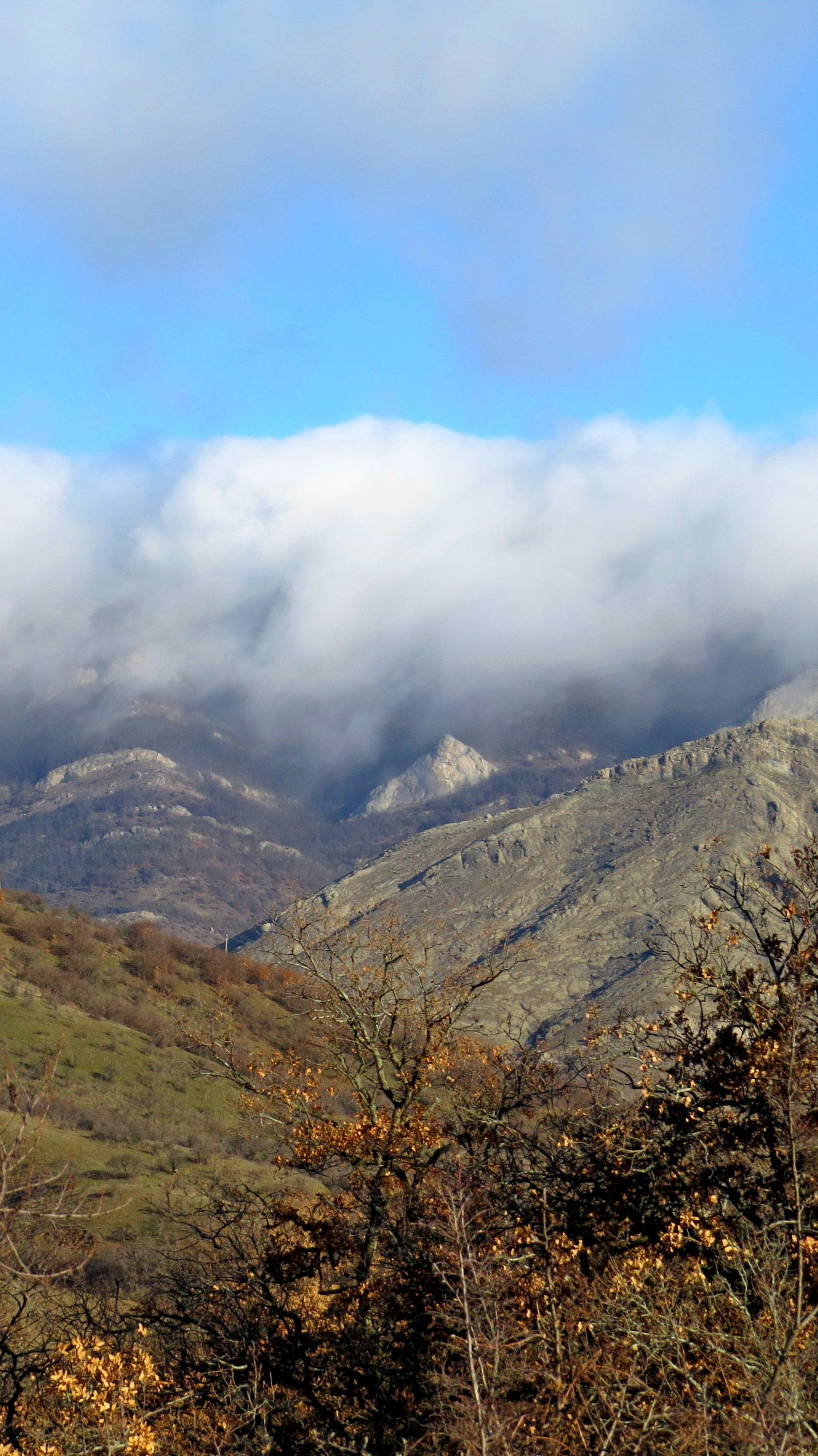Это к нам пробирается зима!