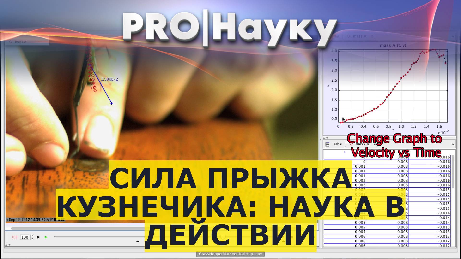 Сила прыжка кузнечика: наука в действии