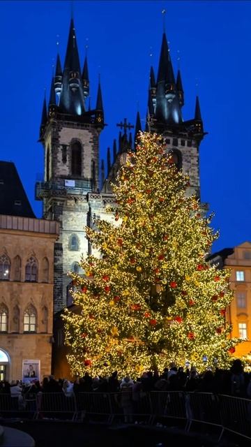 ГЛАВНАЯ ЁЛКА ПРАГИ  #prague #praha #cz #czech #christmas #christmastree #прага #чехия #рождество