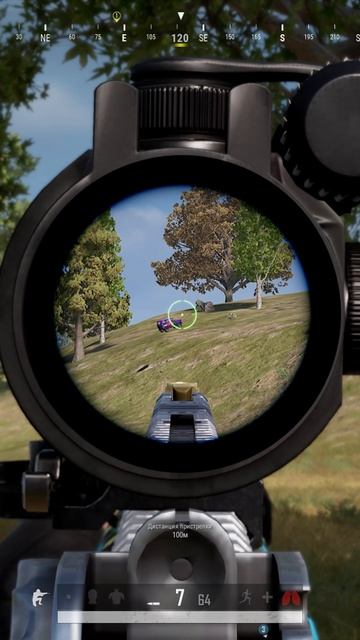 Щастливая голова тимейта