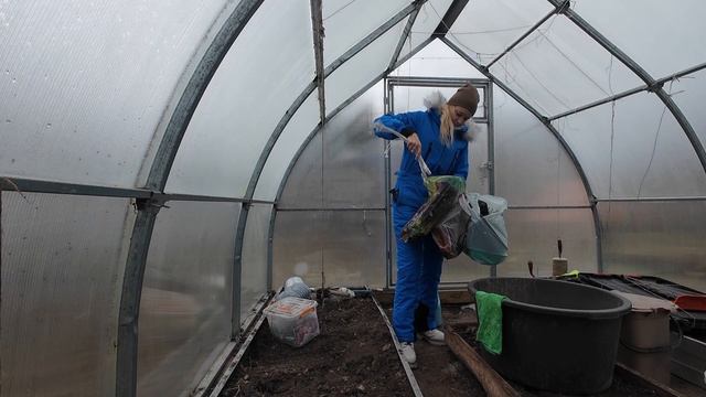 видео привет от 03.02.25 с дачи