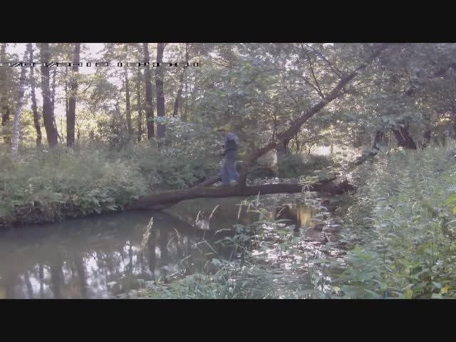 лесная речка