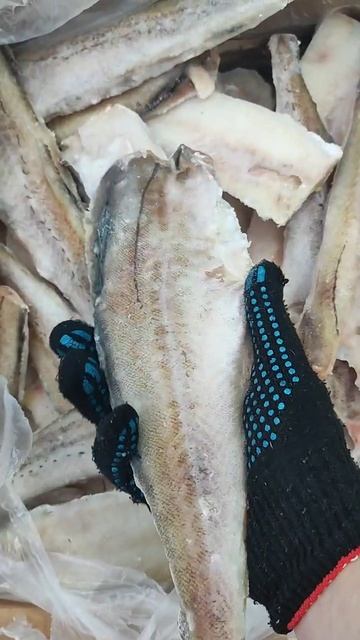 Филе минтая н/к 2