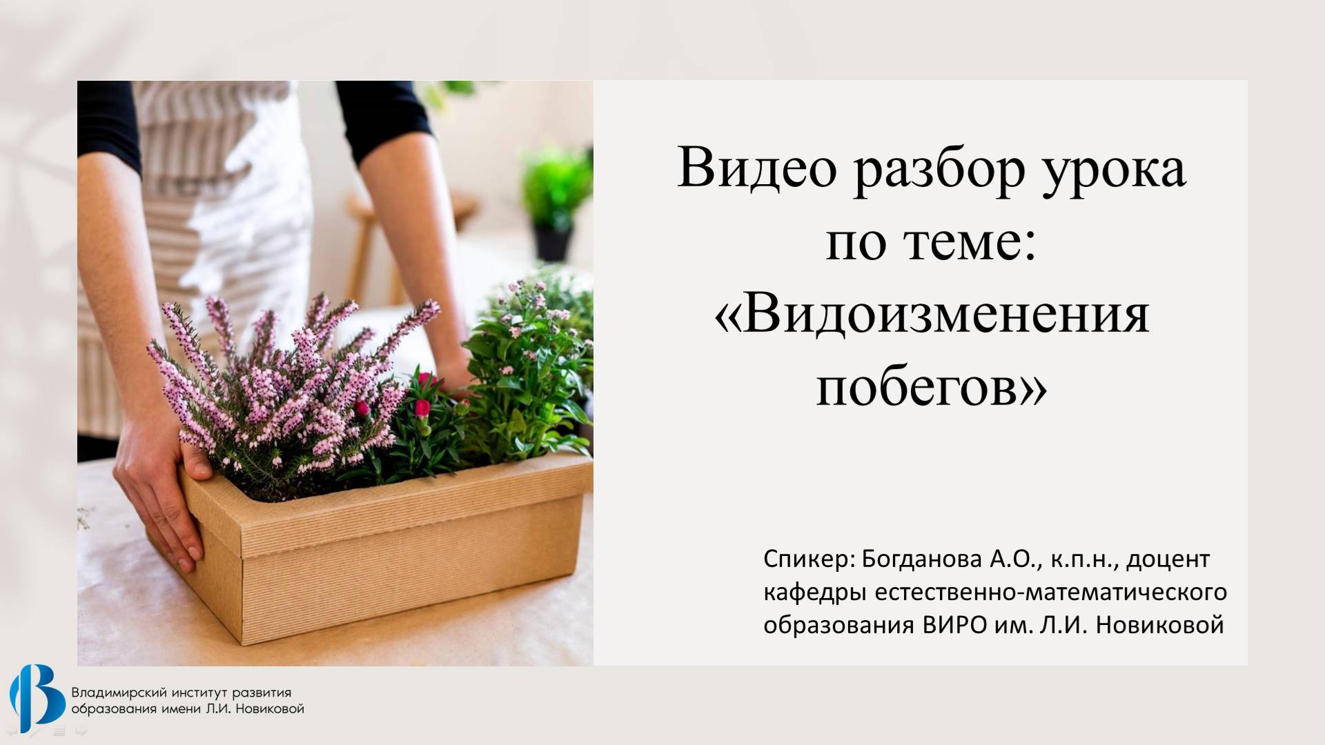 17. Видоизменения побегов